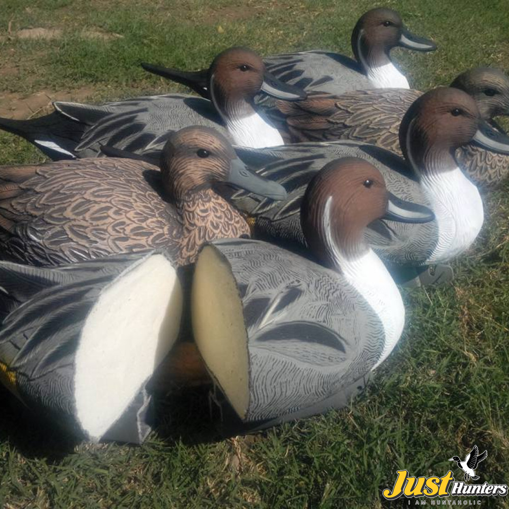 Pro Pintail Bullet Proof Decoys 6 Pc. - Hunting, Shooting, Airguns ...