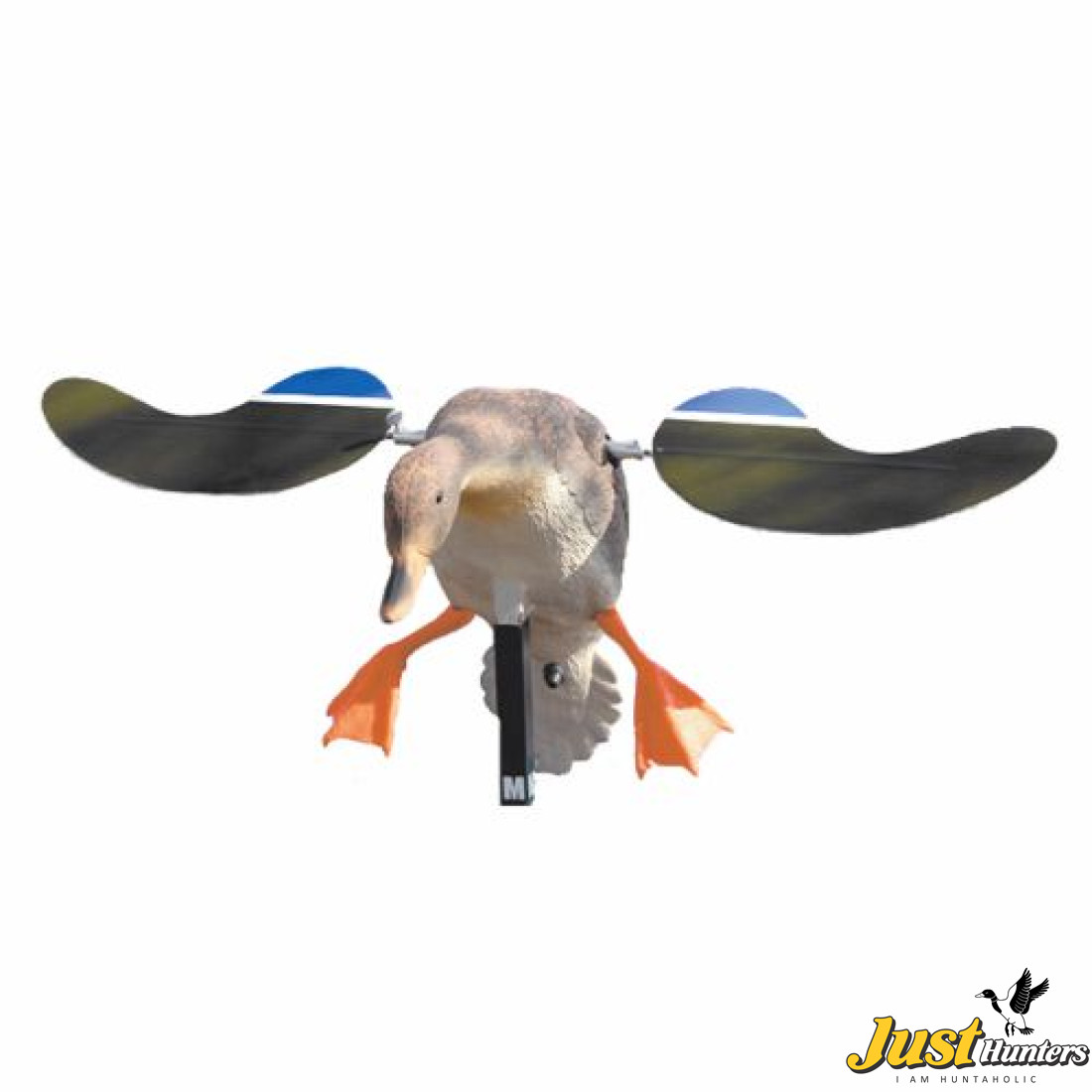 Buy Baby Mojo Drake or Hen Online Best Price in Pakistan