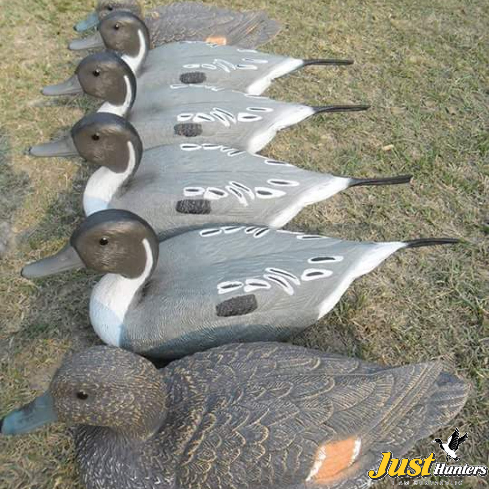 Standard Pintail Decoys 6 PC - Hunting, Shooting, Airguns, Scopes, Camo ...