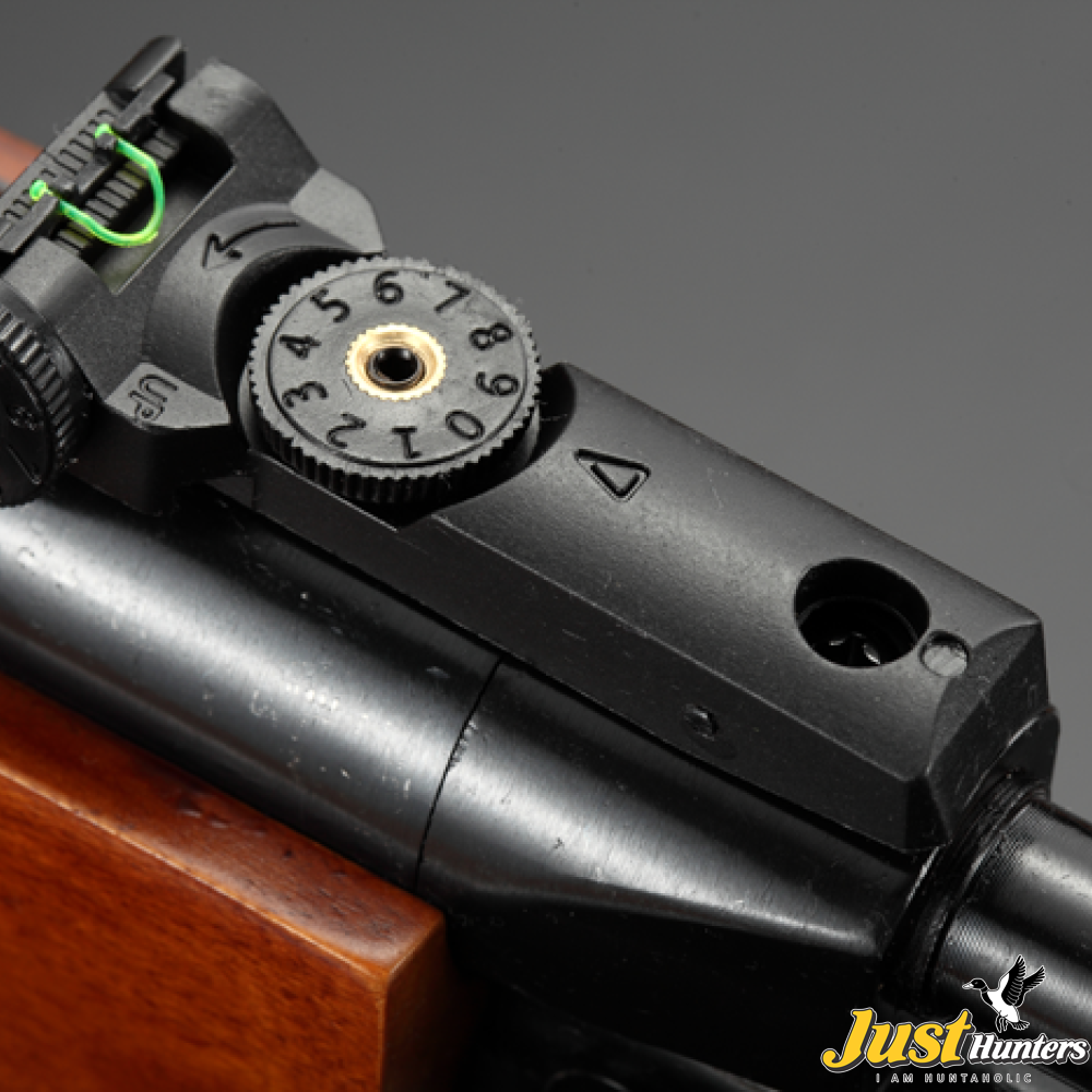 SPA Airgun WF600 .22 Cal. Synthetic