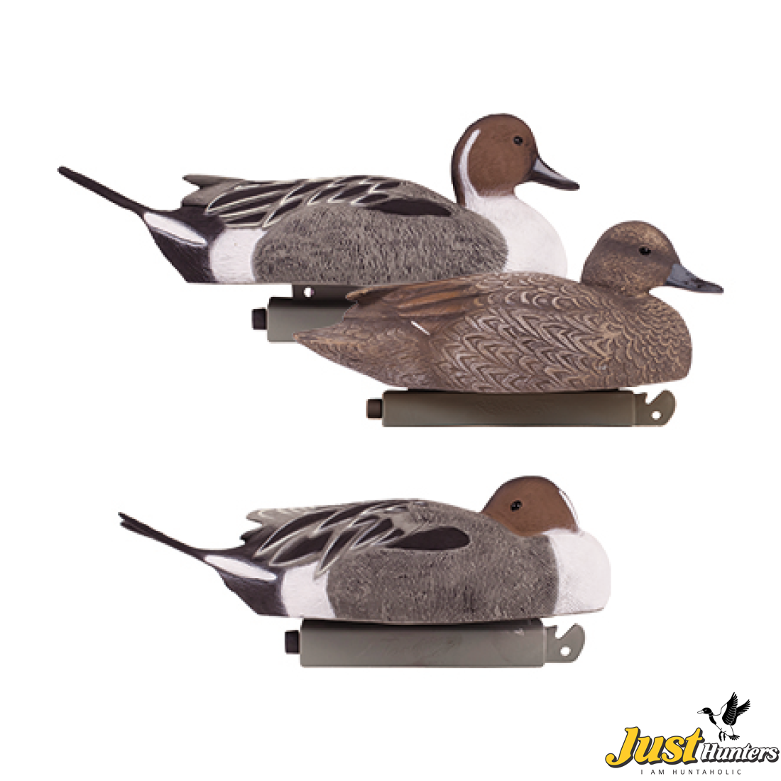 Tanglefree Pro Pintail Magnum Decoys Combo Pack - Hunting, Shooting ...