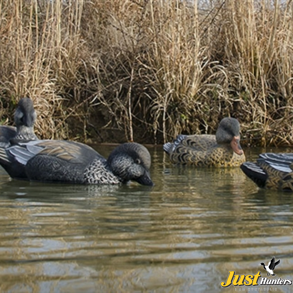 Higdon Gadwall Duck Decoys 6 Pc. - Hunting, Shooting, Airguns, Scopes ...