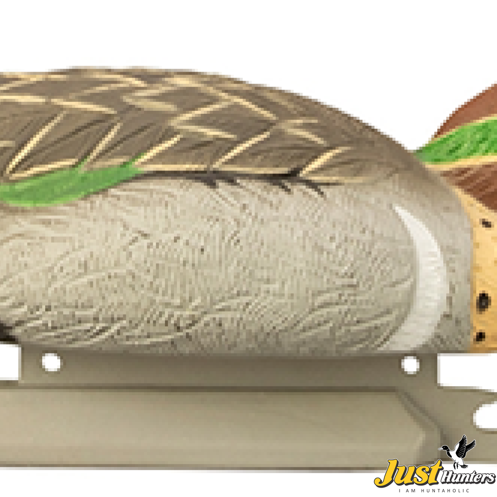 Higdon Green Wing Teal Duck Decoys 6 Pc. - Hunting, Shooting, Airguns ...