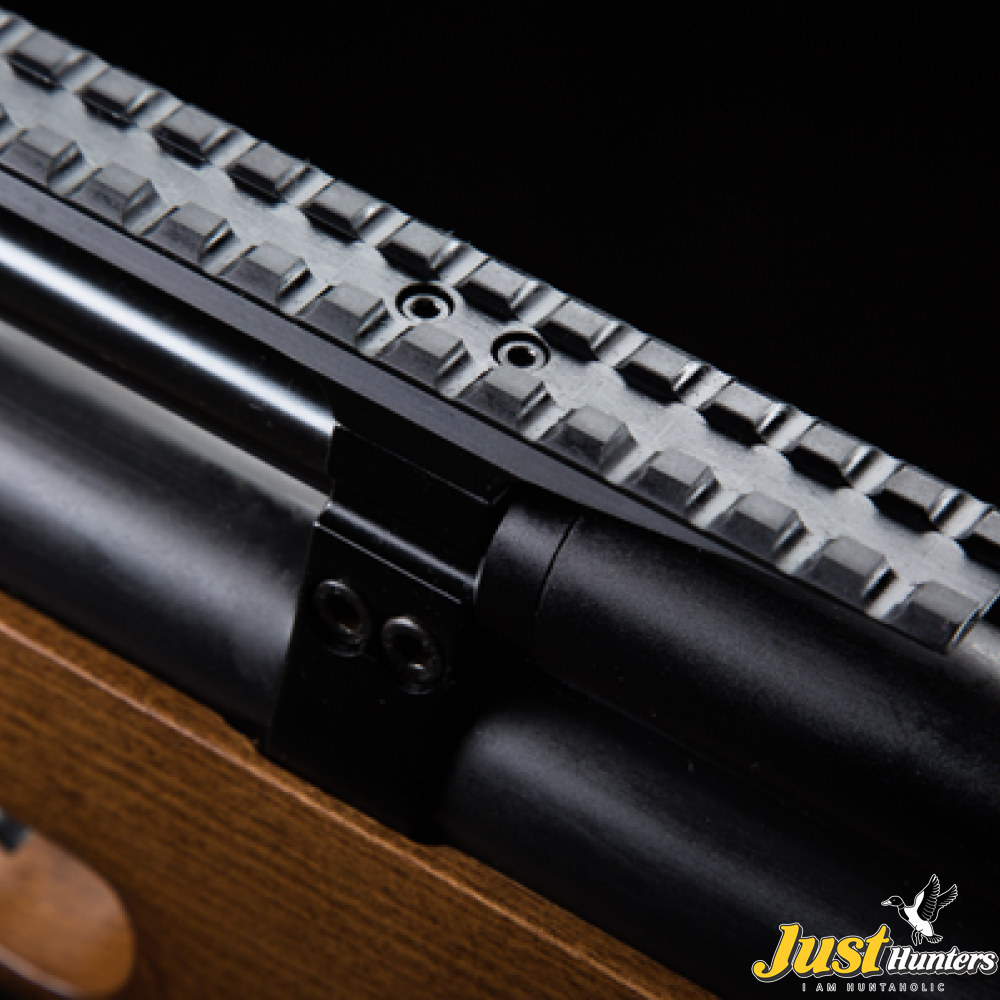 Buy Artemis PCP Airgun P10 Online Best Price in Pakistan