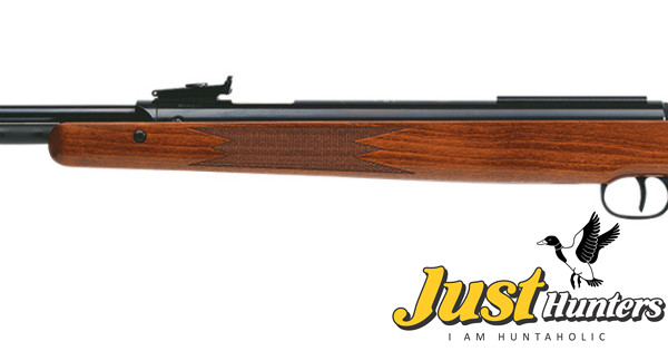 Diana Airgun 460 Magnum .22 Cal. T06 - Hunting, Shooting, Airguns ...