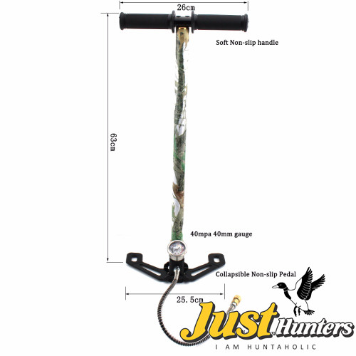 Buy PCP Air Gun Compressor Auto Stop 4500psi 300bar 220V Online Best ...