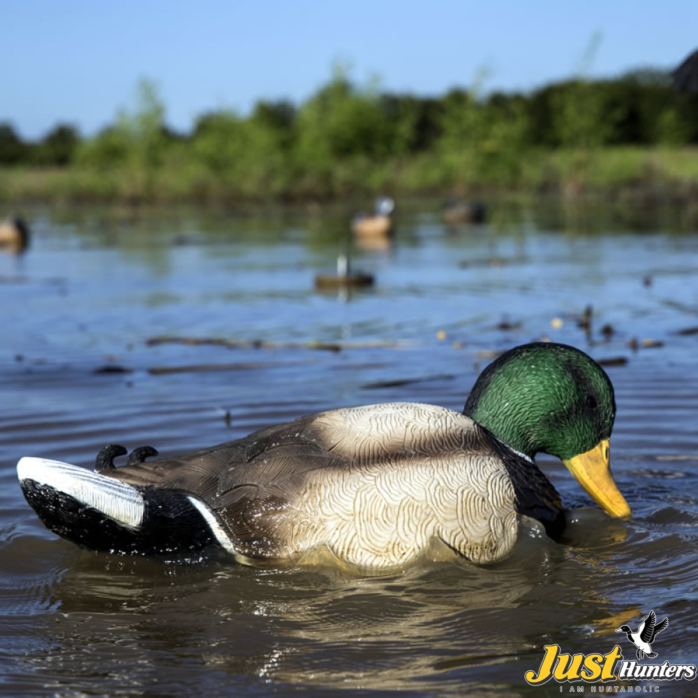 Mojo Outdoor Mojo Outdoor Rippler