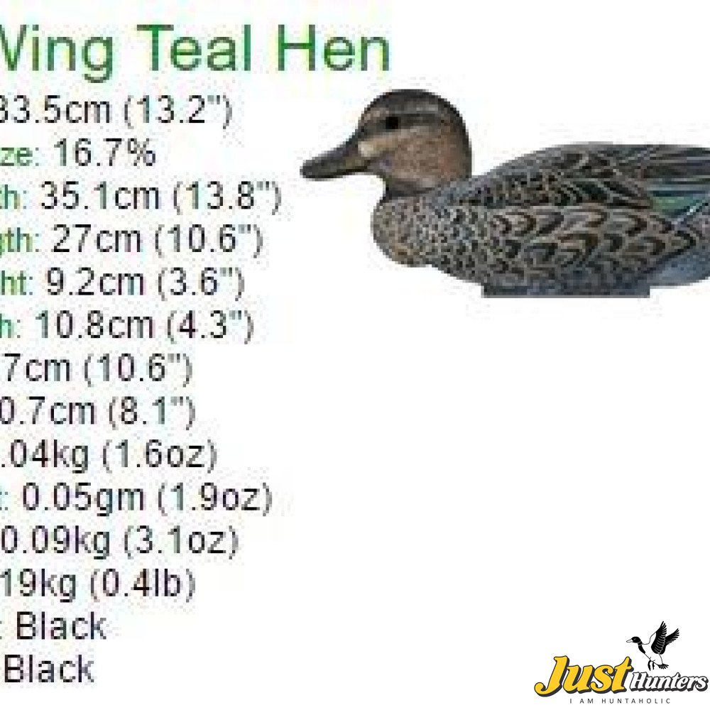 Buy Green Wing Teal Foldable, Portable, Shotproof Decoys Online Best ...