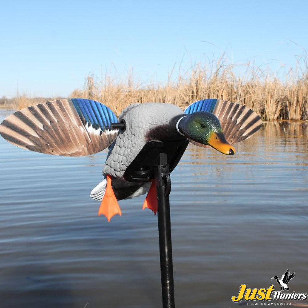 Buy MOJO® Elite Series™ - Mini Mallard Drake Online Best Price in Pakistan