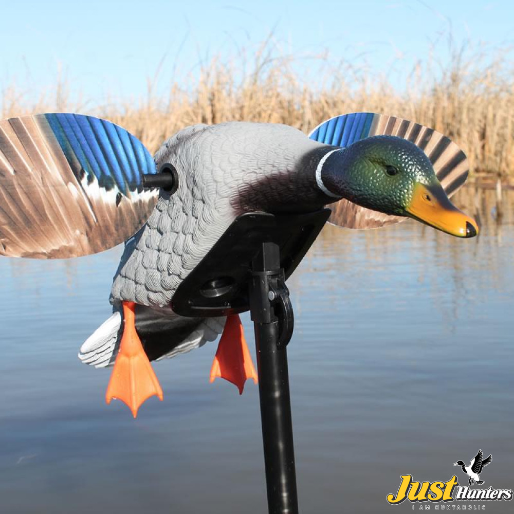 Buy MOJO® Elite Series™ - Mini Mallard Drake Online Best Price in Pakistan