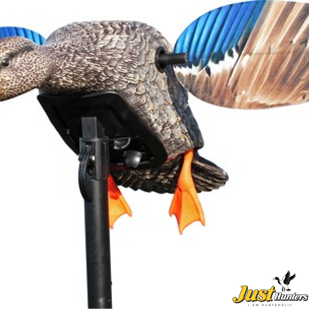 MOJO® Elite Series™ - Mini Mallard Hen - Hunting, Shooting, Airguns ...