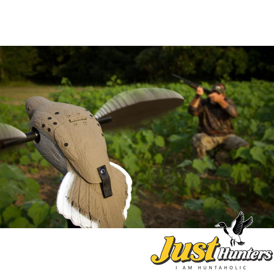 Buy Mojo Voodoo Dove Online Best Price in Pakistan