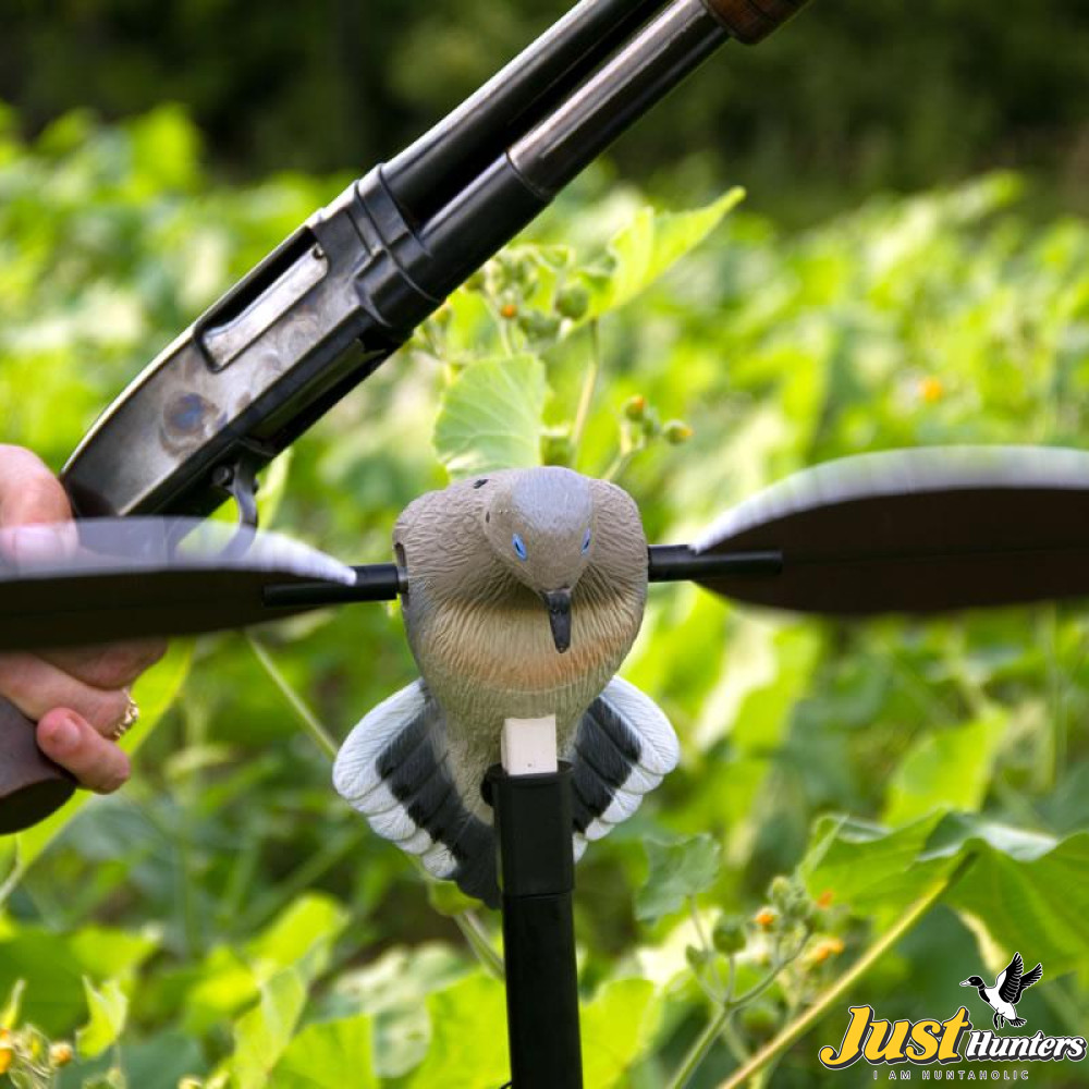 Buy Mojo Voodoo Dove Online Best Price in Pakistan