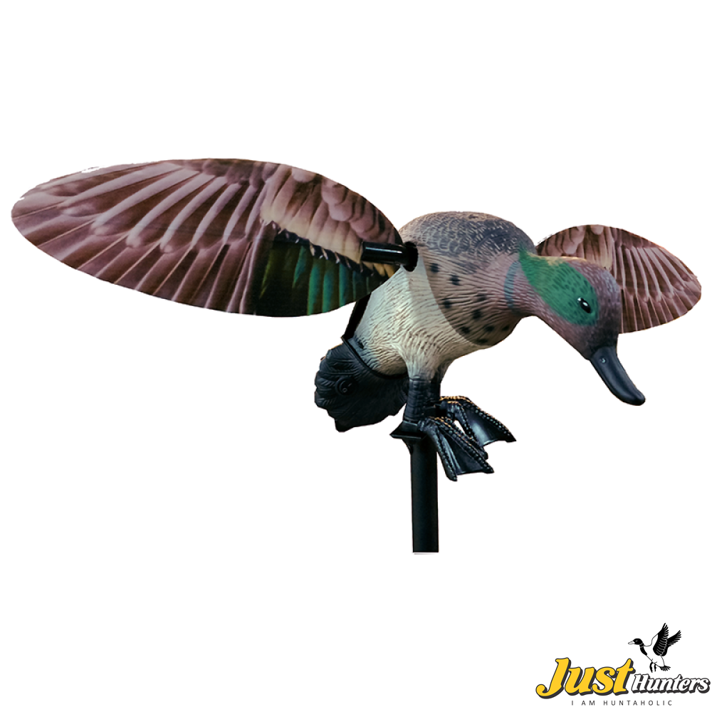 Green Wing Teal with New Wings - Hunting, Shooting, Airguns, Scopes ...