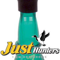 teal bird call