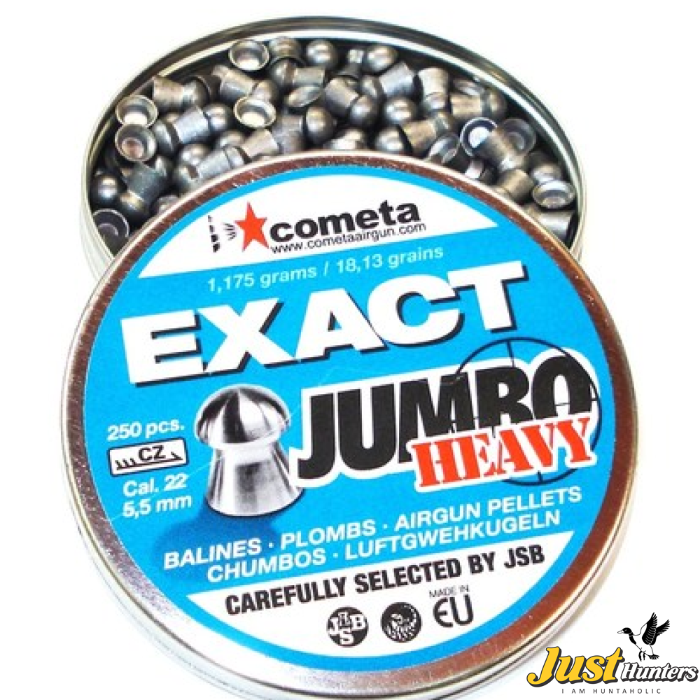 Cometa Exact Jumbo Heavy .22 Cal. 18.13 g by JSB - Hunting, Shooting ...