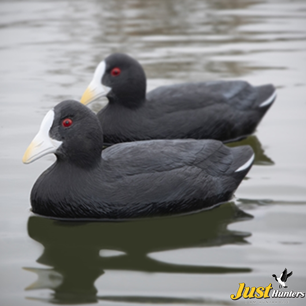 Higdon Foam Filled Coot Decoys 6 Pc - Hunting, Shooting, Airguns ...
