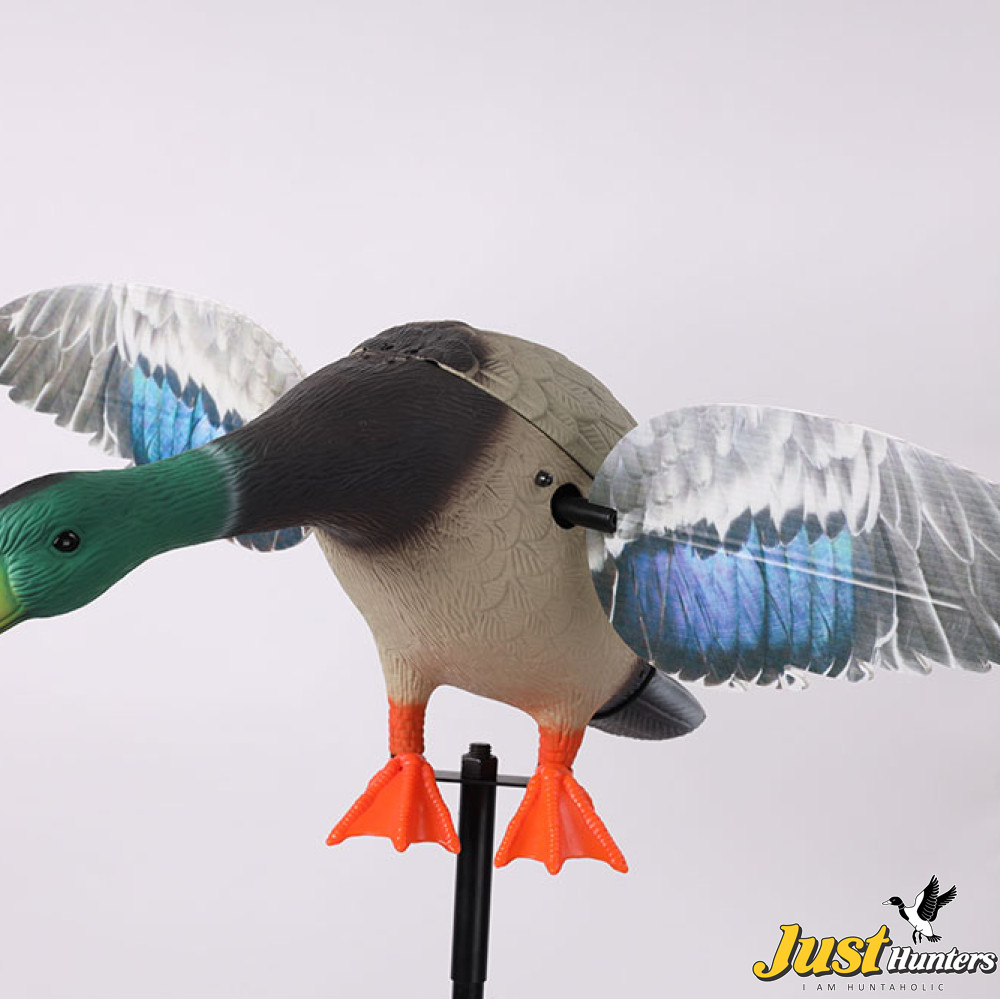 Mojo Elite Mallard Drake with Remote - Hunting, Shooting, Airguns ...