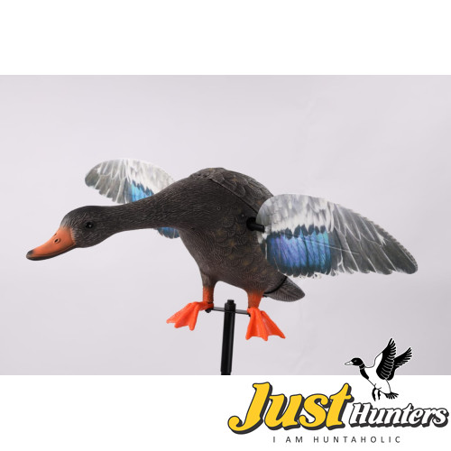 Buy Mojo Elite Mallard Hen with Remote Online Best Price in Pakistan