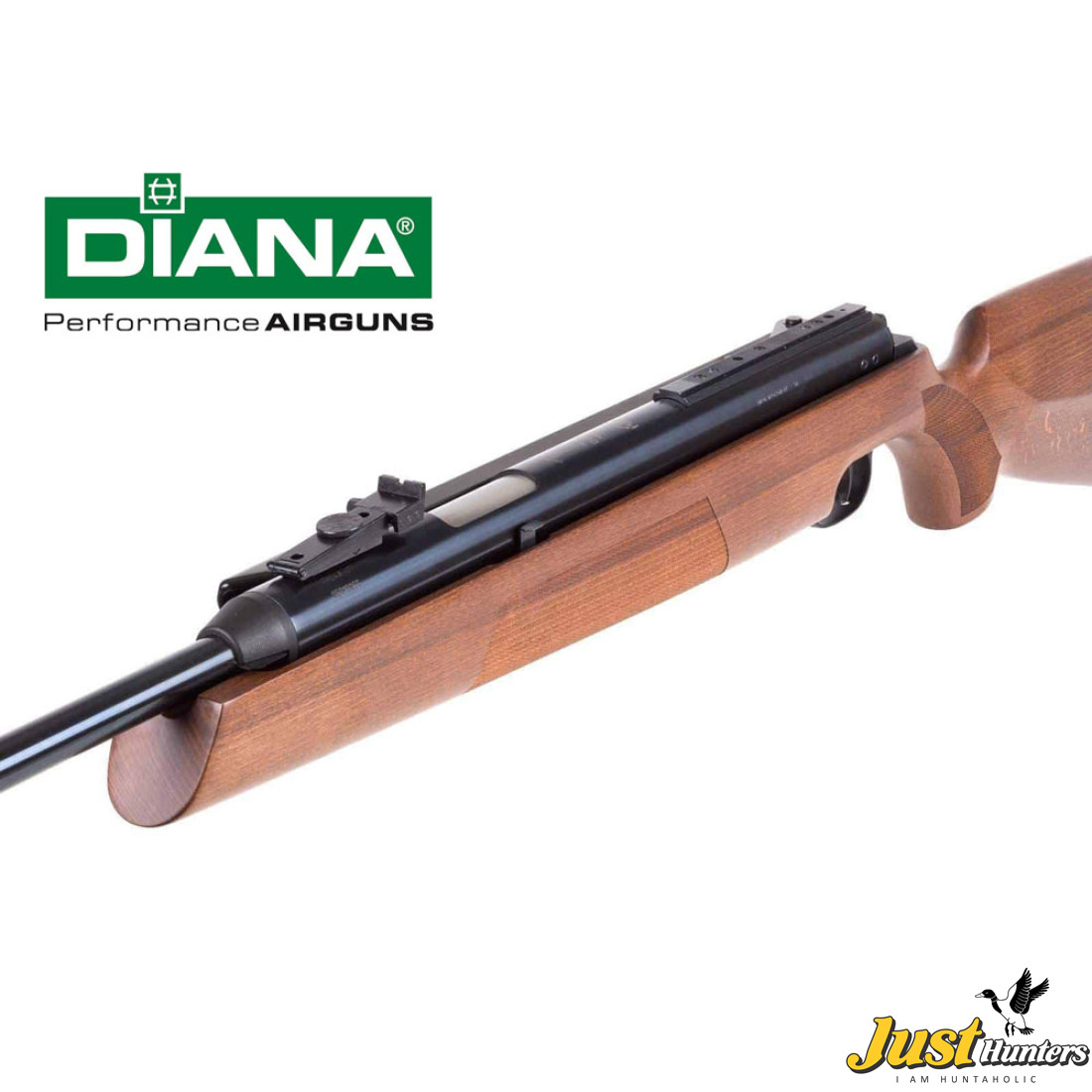 DIANA AIRGUN 54 AIRKING .22 Cal - Hunting, Shooting, Airguns, Scopes ...