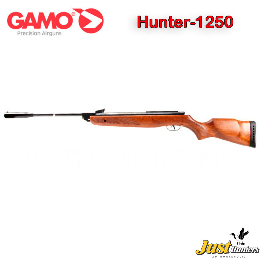 Gamo Hunter 1250 Airgun .22 Cal