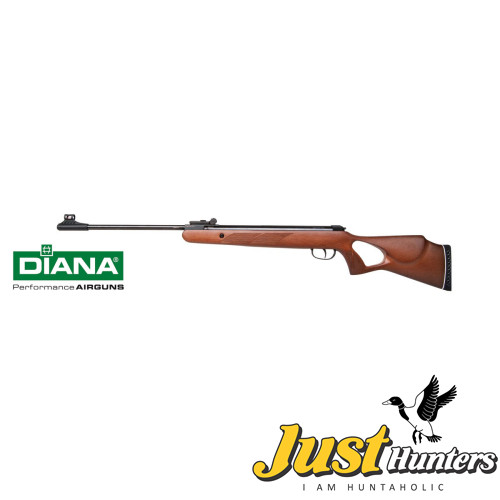 DIANA Two-Fifty .22 Cal