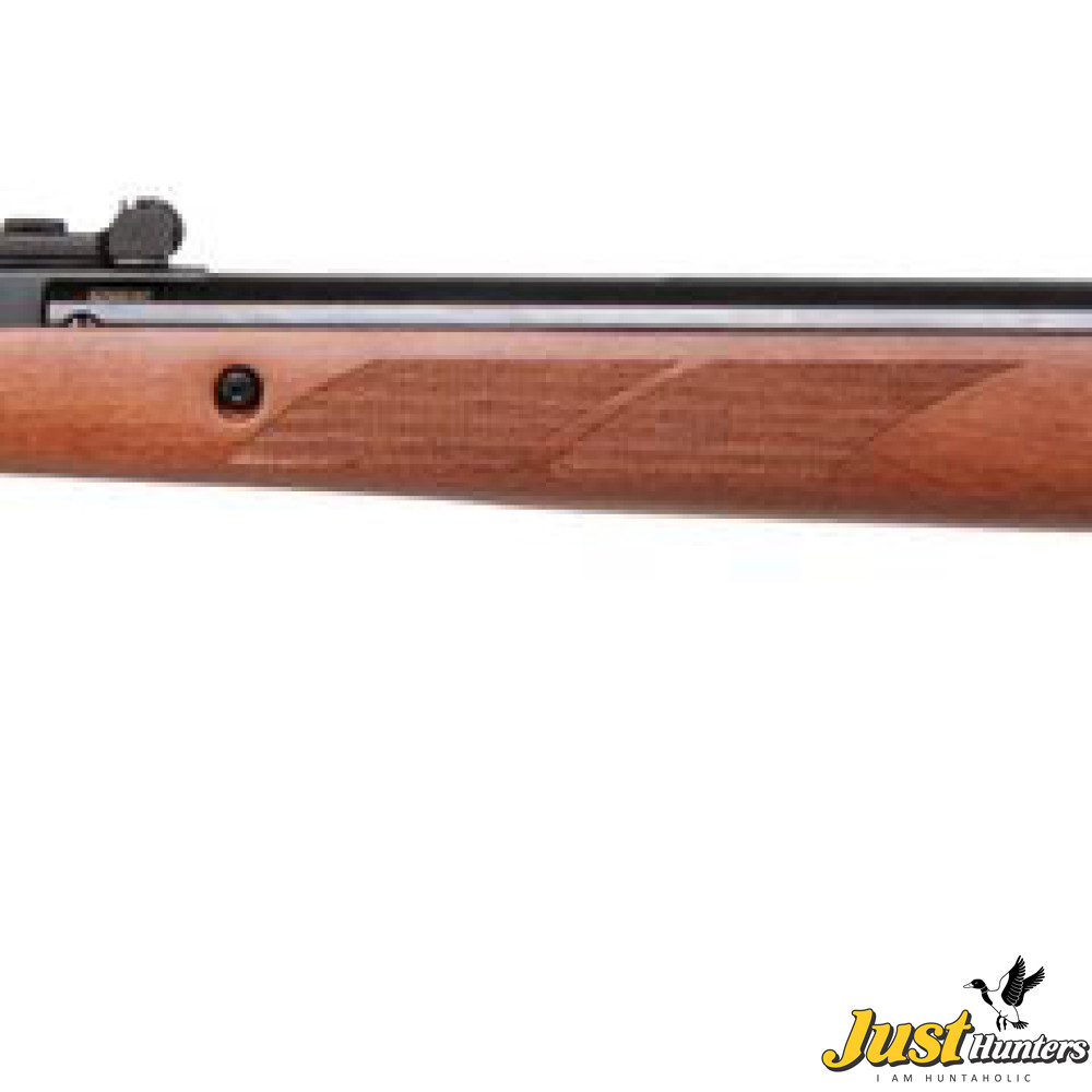 DIANA Two-Fifty .22 Cal - Hunting, Shooting, Airguns, Scopes, Camo ...