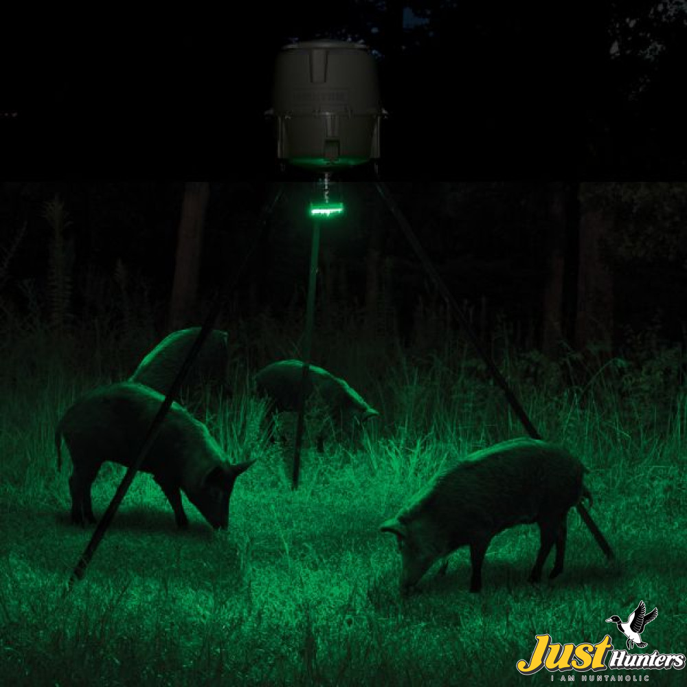 MOULTRIE Feeder Hog Light