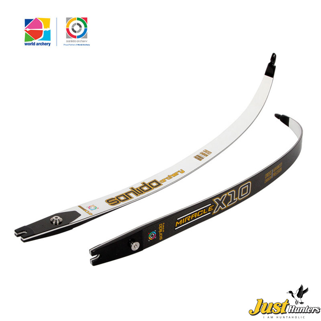 Sanlida Miracle X10 ILF Recurve Bow Limbs Price in Pakistan