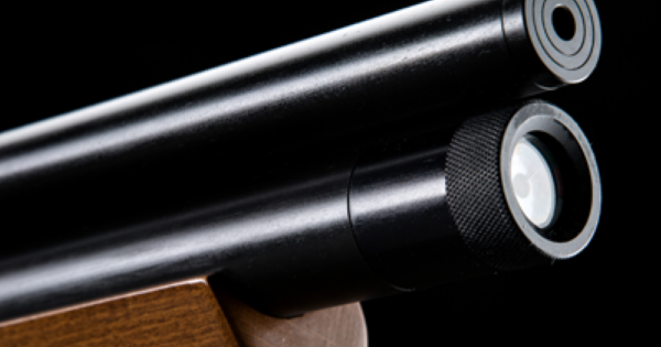 Artemis Airgun P10 New Edition