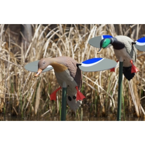Pro Mallard Sleeping Duck Decoys Combo Pack - Hunting, Shooting ...